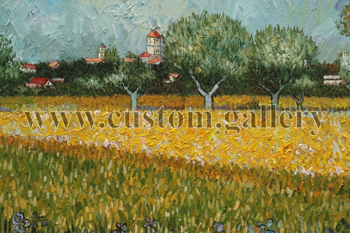 View of Arles with Irises Vincent van Gogh